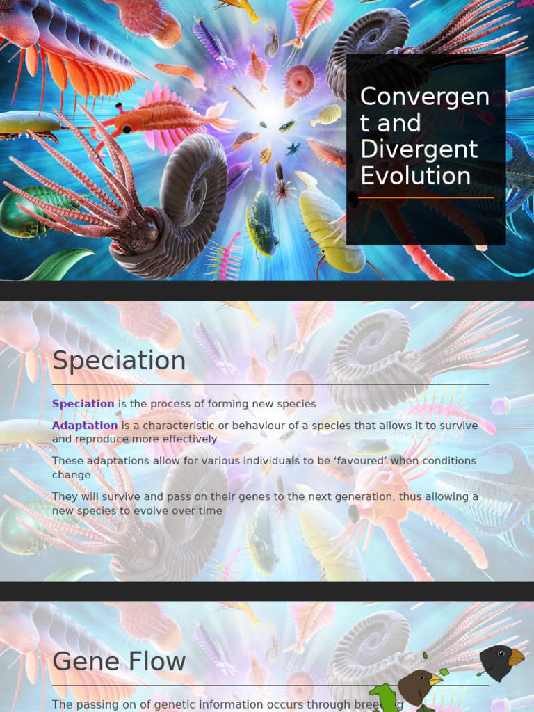 Convergent and Divergent Evolution Biology | PDF | Evolution | Species