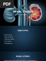 Non-Obstructing Nephrolithiasis Overview | PDF | Kidney | Medicine