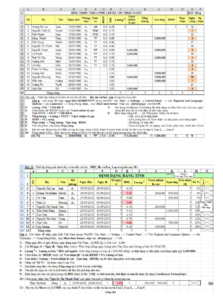 Excel - Bai 01 Dinh Dang Bang Tinh - Nang Cao | PDF