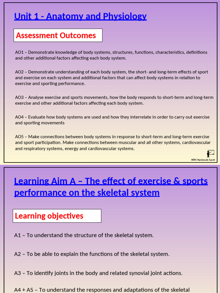 Anatomy of the Skeletal System in Sports | PDF | Anatomical Terms Of ...