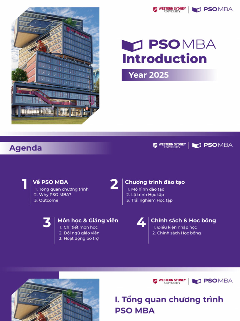 2025 Pso Mba | PDF