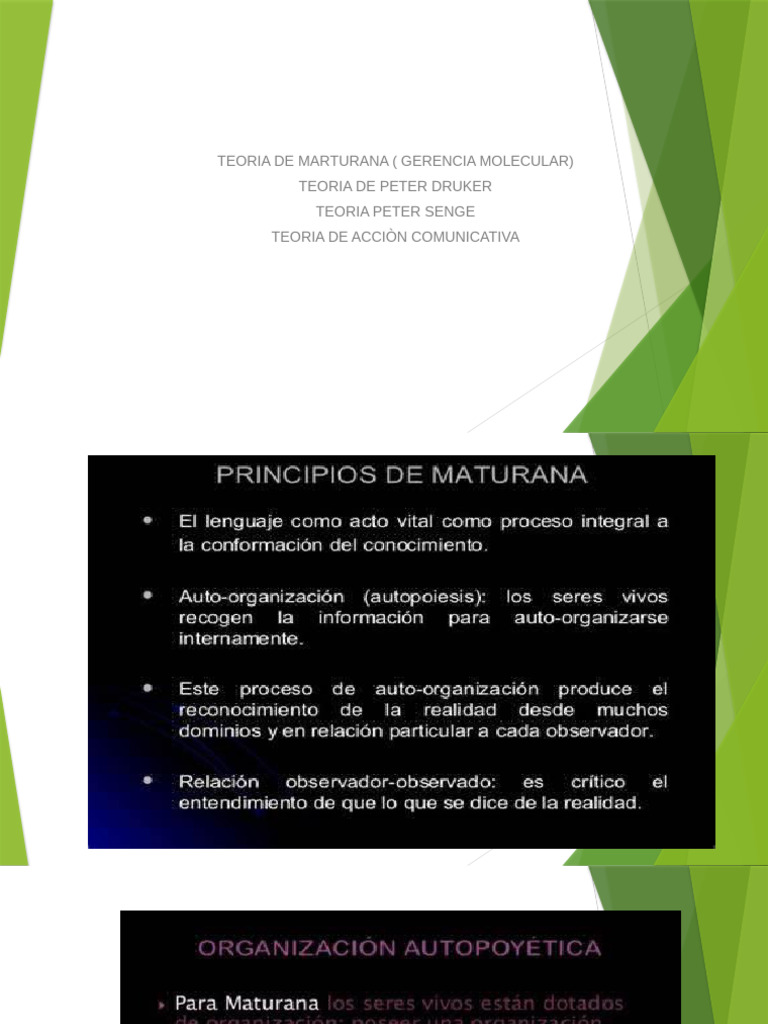 Teoria de Maturana Gerencia, Teoria Peter Senge, Peter Druker, Haberman ...