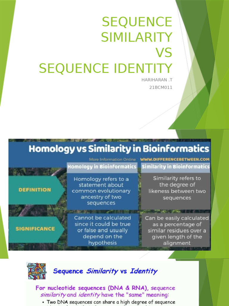 Sequence Similarity | PDF
