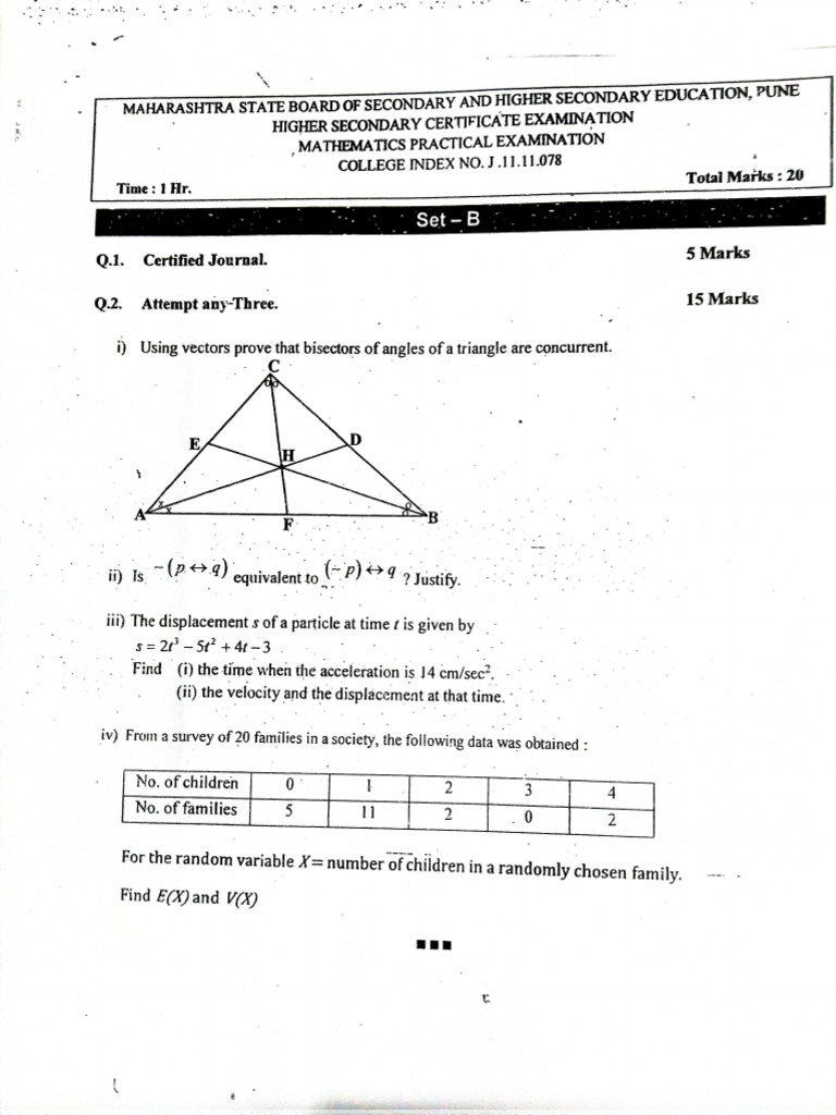 Maths Practical Questions | PDF