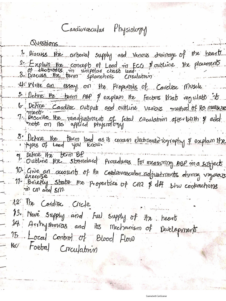 CVS Summary | PDF