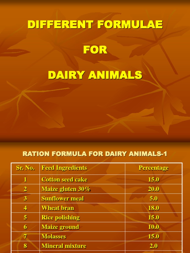 Dairy Animal Feed Formulas and Ratios | PDF