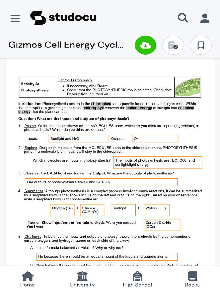 Gizmos Cell Energy Cycle Worksheet - Name Date Student Exploration Cell ...