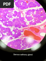 DocScanner Nov 29, 2025 11-28 AM | PDF