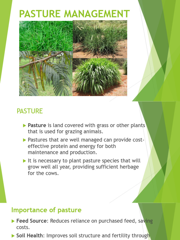 Pasture Management | PDF | Grazing | Intensive Farming