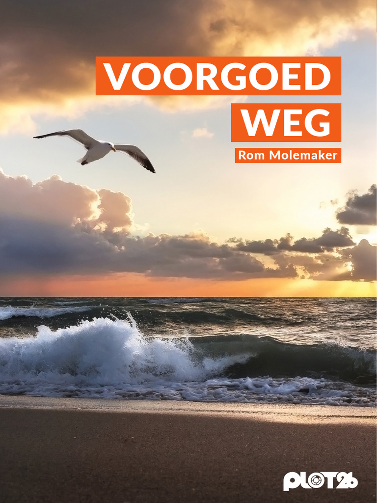 Leerjaar 2 Fictie 2 Havo Rom Molemaker Voorgoed Weg LEERLING | PDF