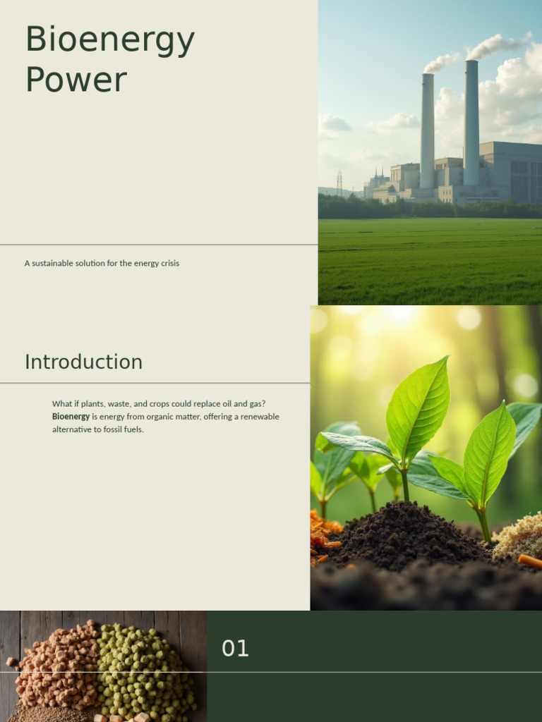 Bioenergy Power | PDF