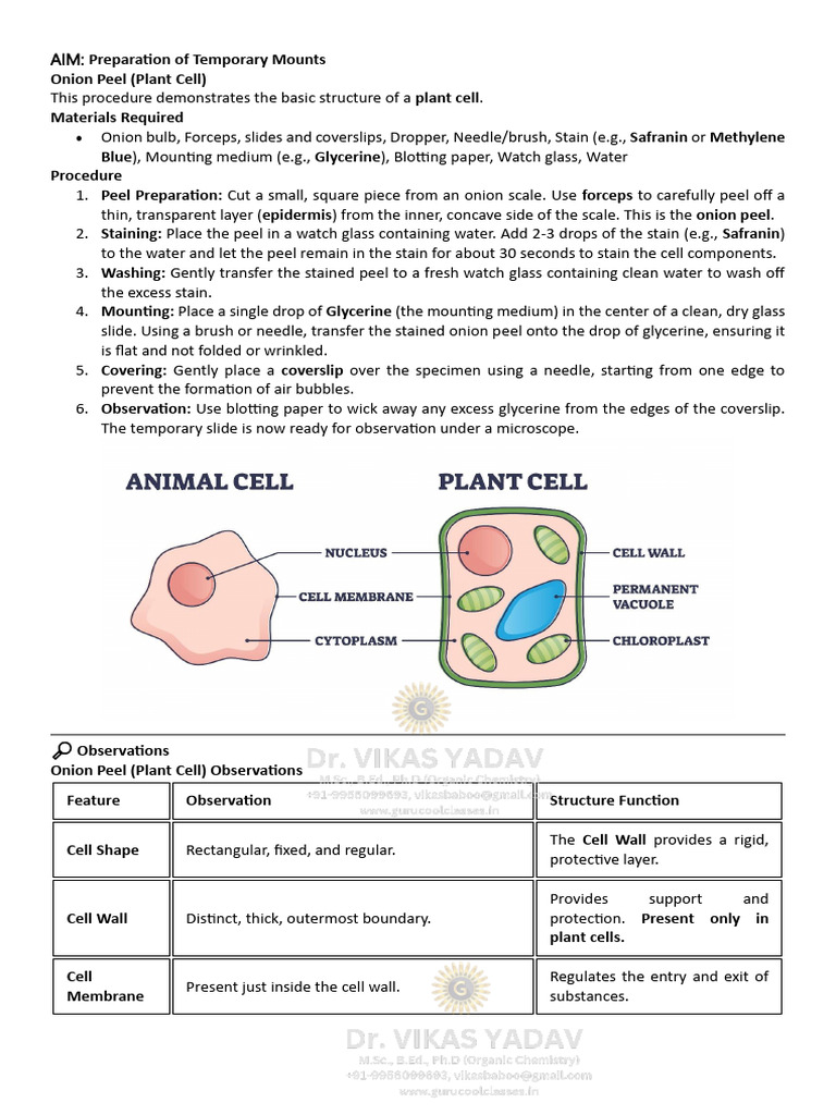 Plant Cell Mounting and Tissue Identification | PDF | Tissue (Biology)