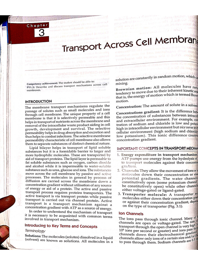 Transport Across The Cell Membrane | PDF