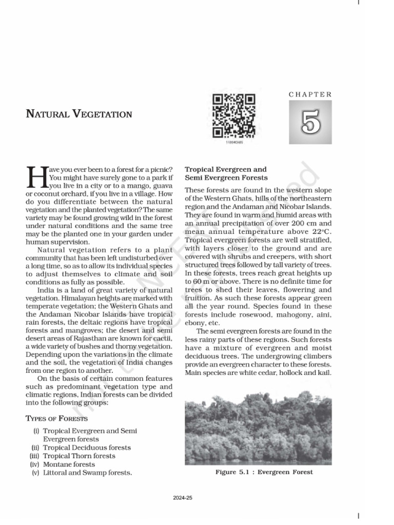 Gecho | PDF