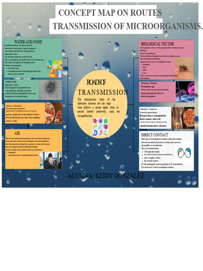 Conceptual Map On Transmission Routes of Microorganisms. | PDF ...