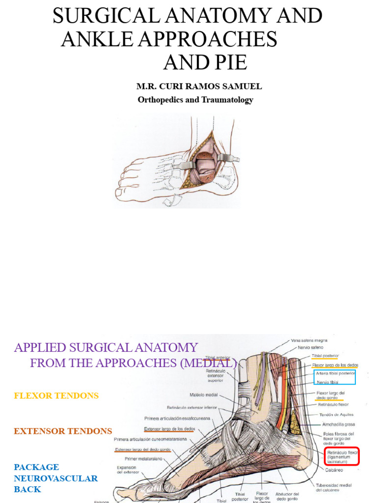 Final Approaches of The Ankle Final Final Final | PDF | Ankle | Foot