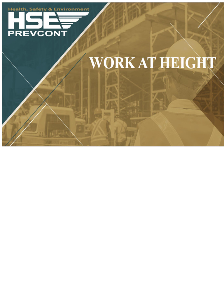 Fall Protection Guidelines for Work at Height | PDF | Ladder