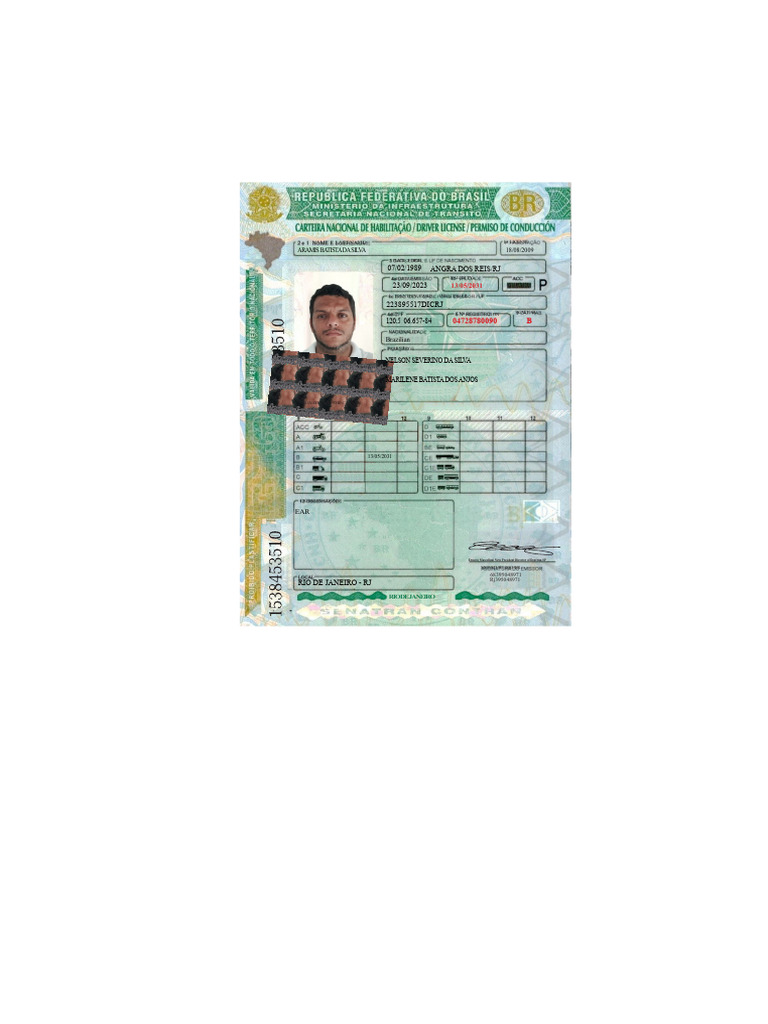 Brazilian License Document Details | PDF