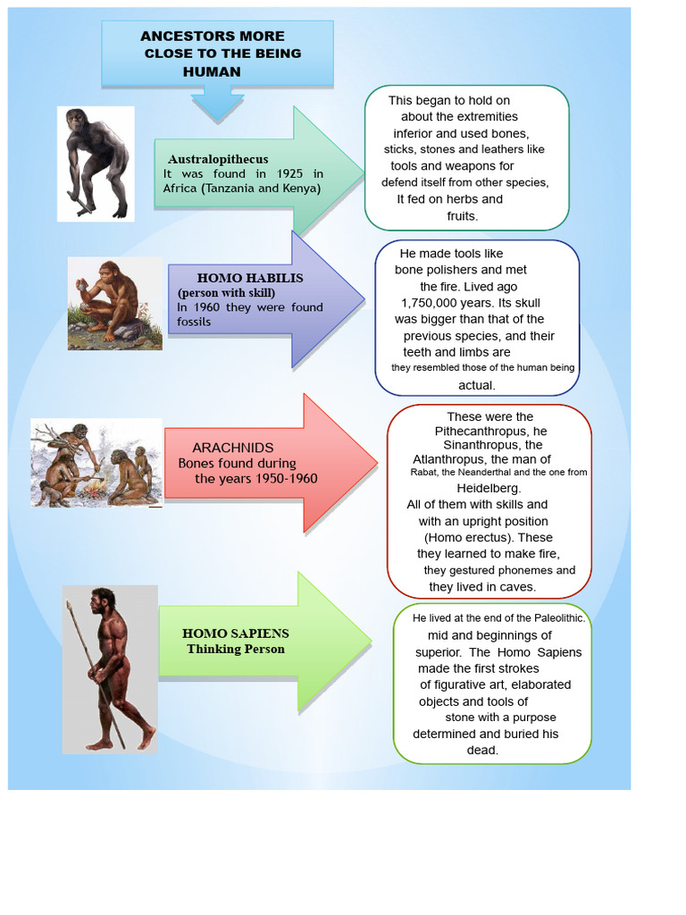 CLOSEST ANCESTORS TO HUMANS | PDF | Homo | Pleistocene