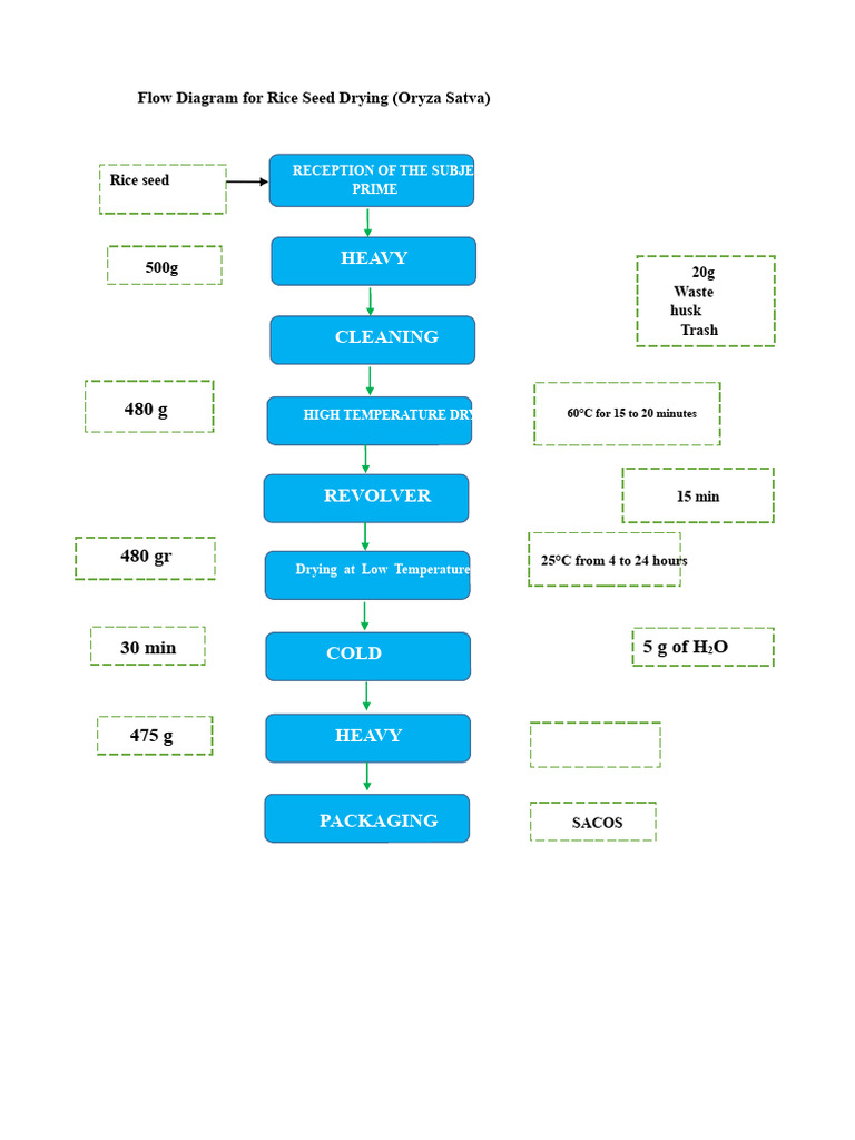 Rice Seed Drying Process Flow Diagram | PDF | Rice | Clothes Dryer