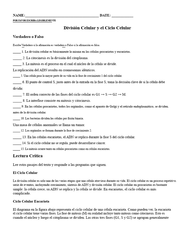 Hoja de Trabajo Del Ciclo Celular | PDF | Biología Celular | Mitosis