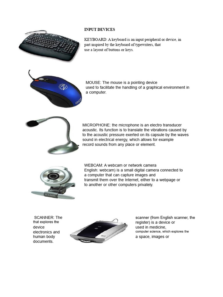 INPUT DEVICES | PDF | Computer Keyboard | Software