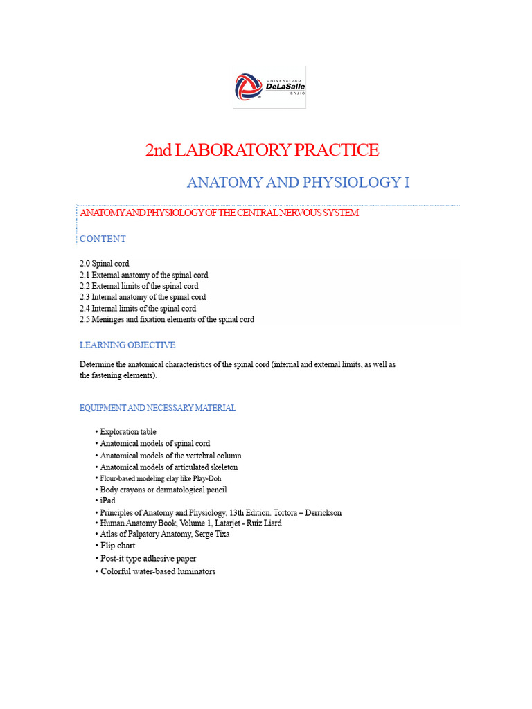 2a Laboratory Practice Spinal Cord | PDF | Anatomy | Human Anatomy