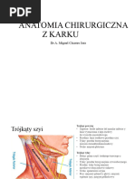 Anatomia Swini Atlas Interaktywny | PDF