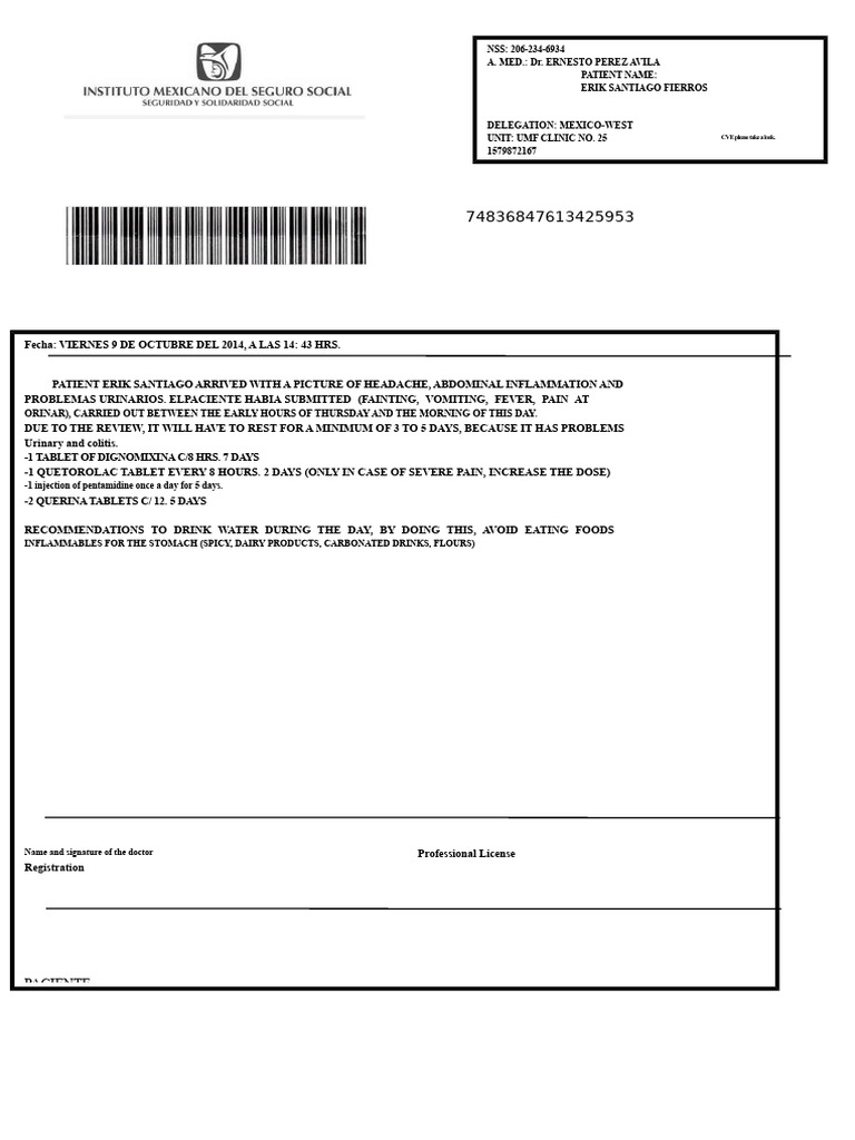IMSS Recipe | PDF