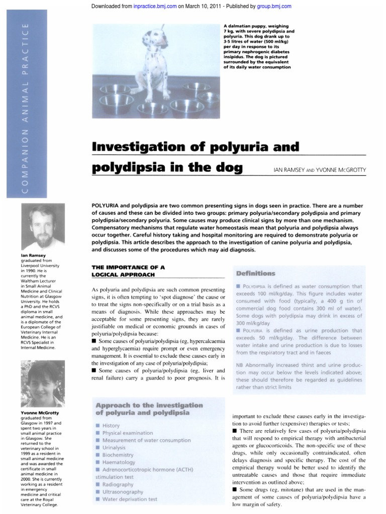 Investigating Canine Polyuria and Polydipsia | PDF | Kidney | Hyperglycemia