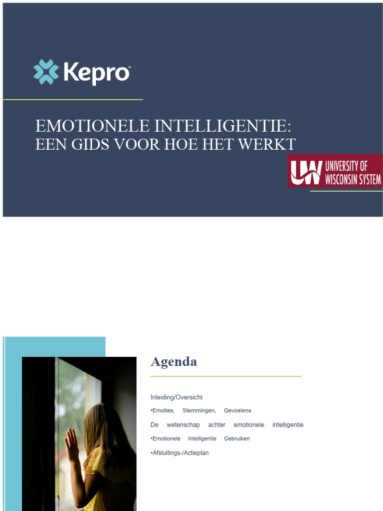 Emotionele Intelligentie PPT 2 | PDF