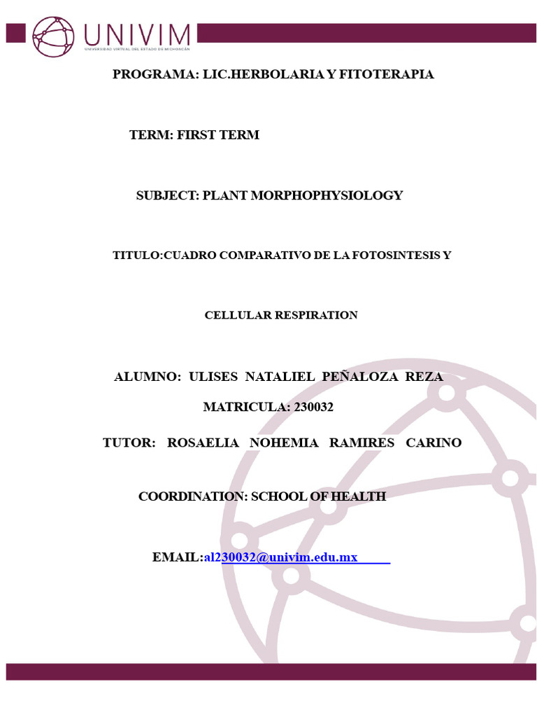 UNPeñaloza_comparative chart of Photosynthesis and Cellular Respiration ...