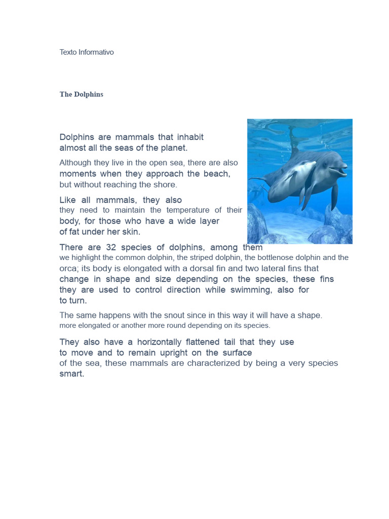 Informative Text The Dolphins | PDF