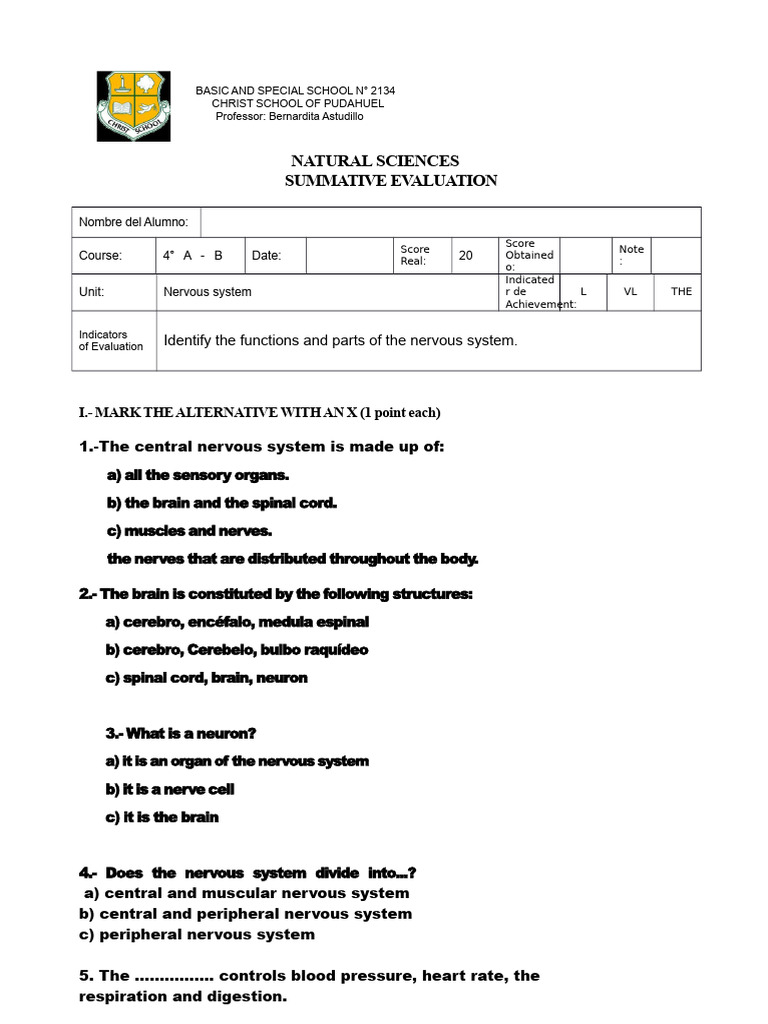 TEST Fourth Nervous System | PDF | Central Nervous System | Nervous System
