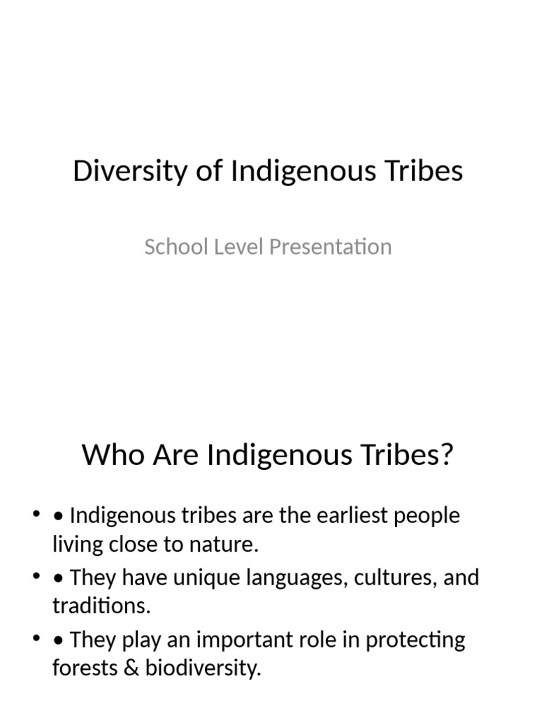 Indigenous Tribes School Level | PDF