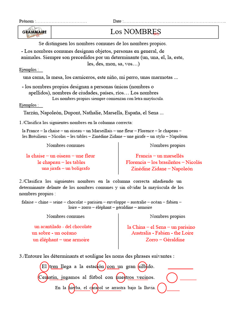 Clasificación de Nombres Comunes y Propios | PDF