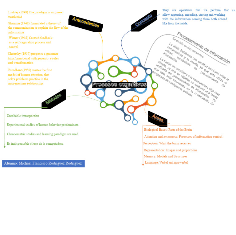 Visual Organizer Cognitive Processes | PDF