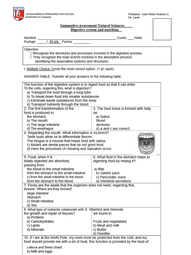 Summative Evaluation - Digestive System | PDF | Digestion | Foods