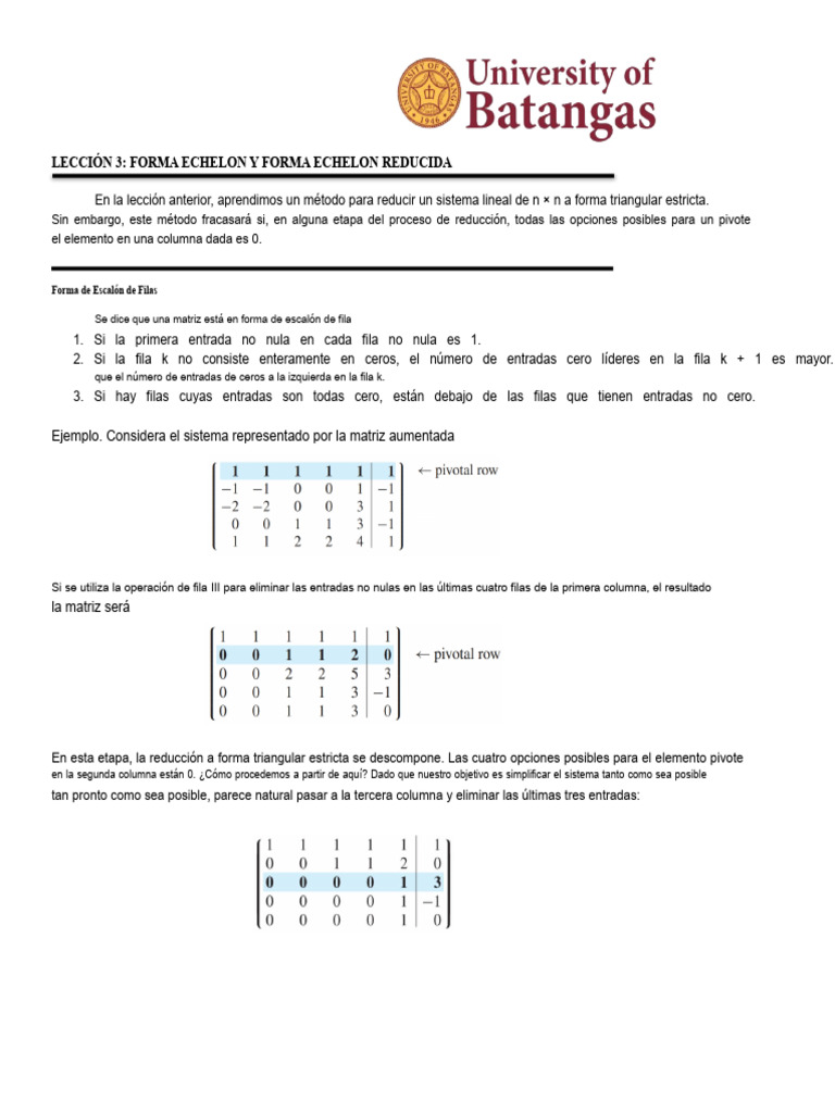 Módulo 1 Lección 3 - Forma Echelon y Forma Echelon Reducida | PDF ...
