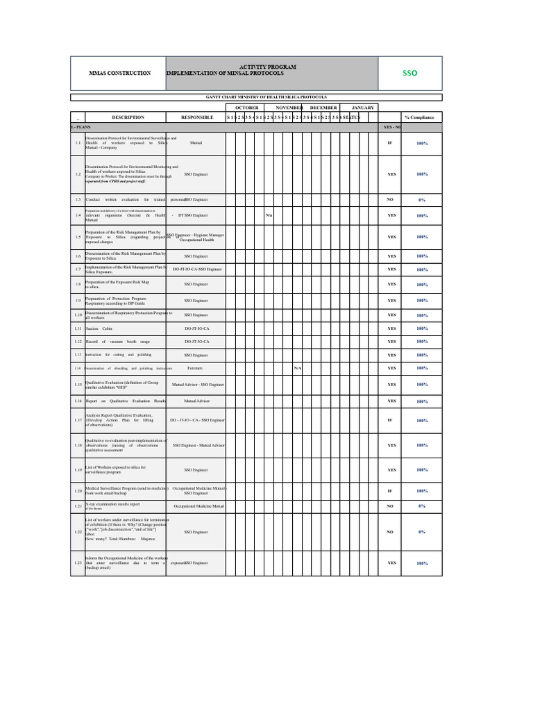 Gantt Chart MINSAL Protocols | PDF | Occupational Safety And Health | Noise