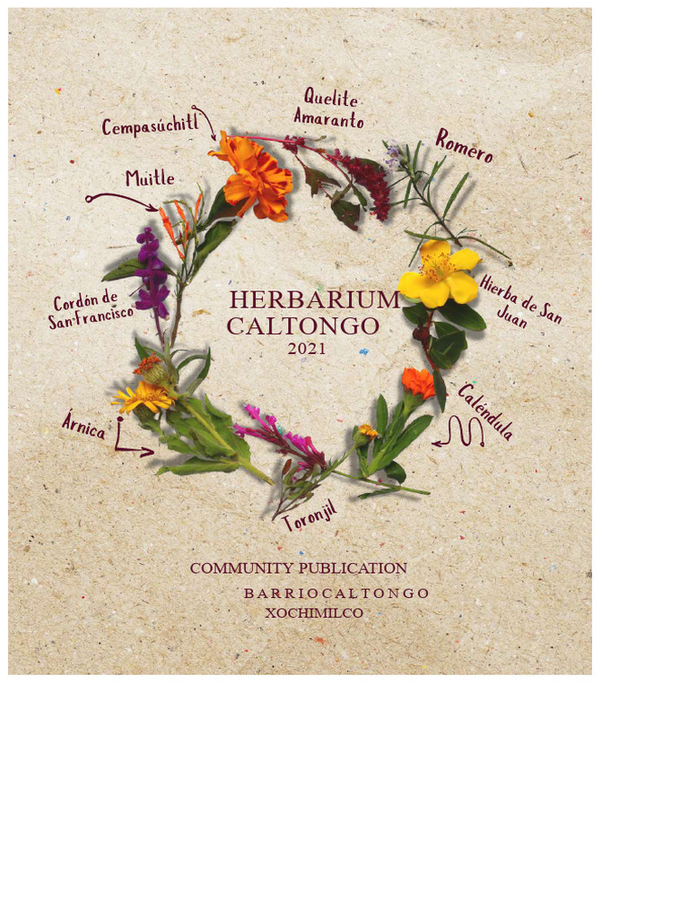 Caltongo Herbarium | PDF | Lavandula | Medicinal Herbs And Fungi