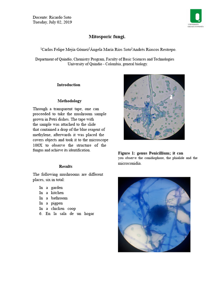 fungus laboratory | PDF | Fungus | Mushroom
