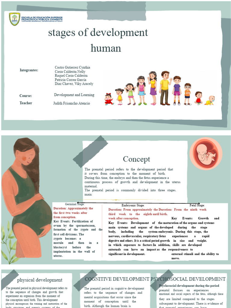 Prenatal and Early Childhood Development | PDF | Prenatal Development ...