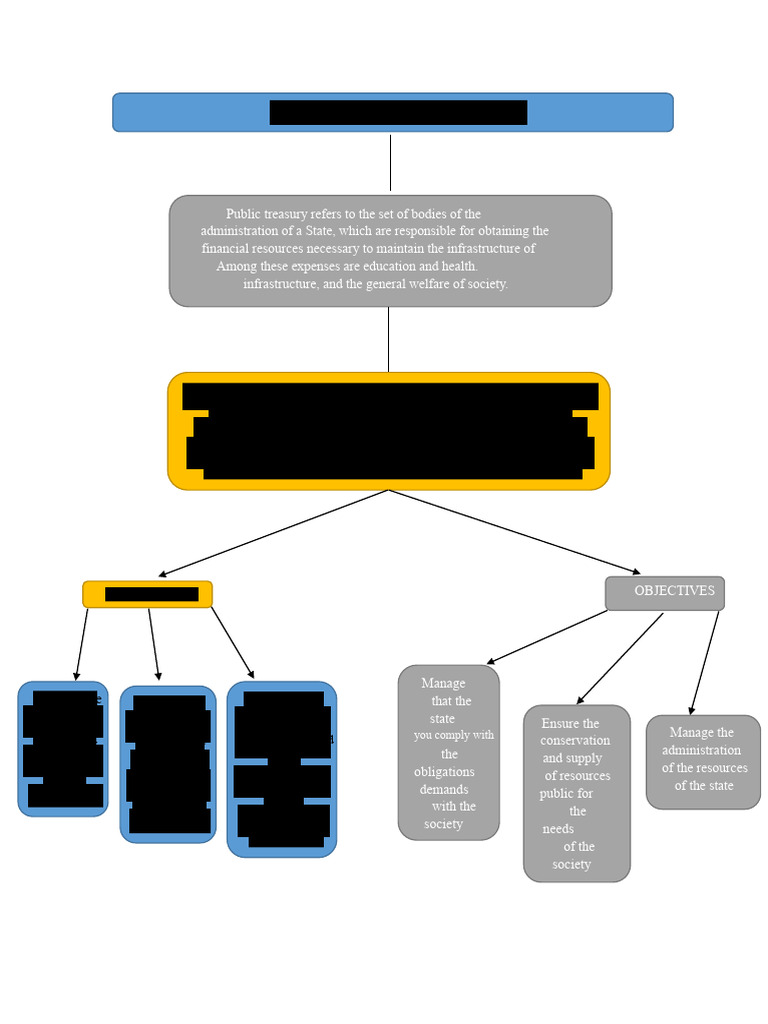 Public Treasury Conceptual Map | PDF | Infrastructure | Taxes