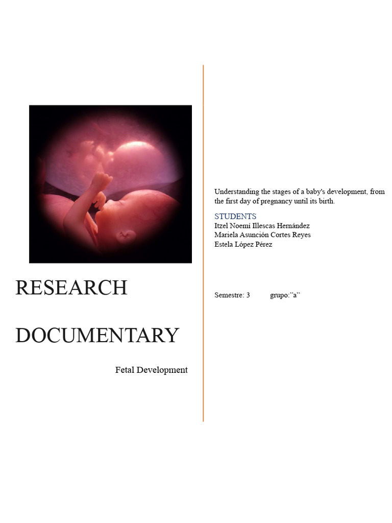 Stages of Fetal Development | PDF | Embryo | Uterus