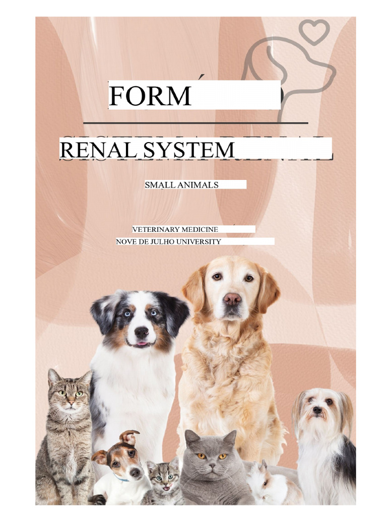 Veterinary Renal System | PDF | Urinary Tract Infection | Analgesic