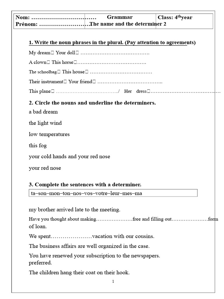 Grammar The Noun and The Determiner 2 | PDF
