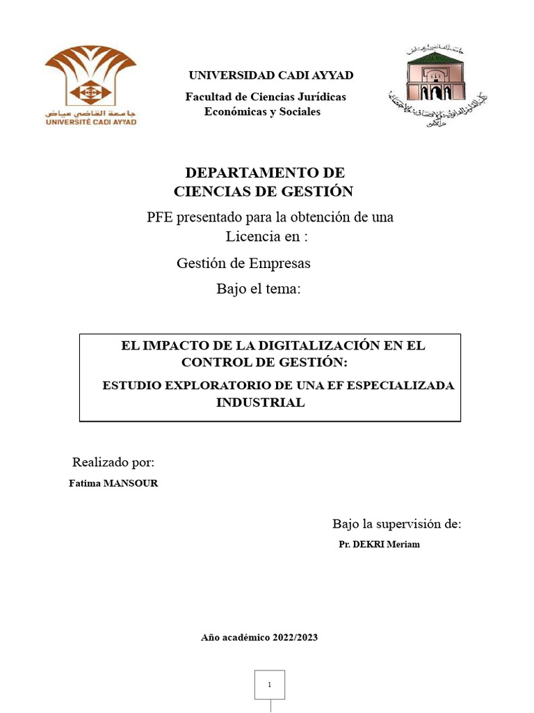 PFE FATIMAEZZAHRA | PDF | Big Data | Business