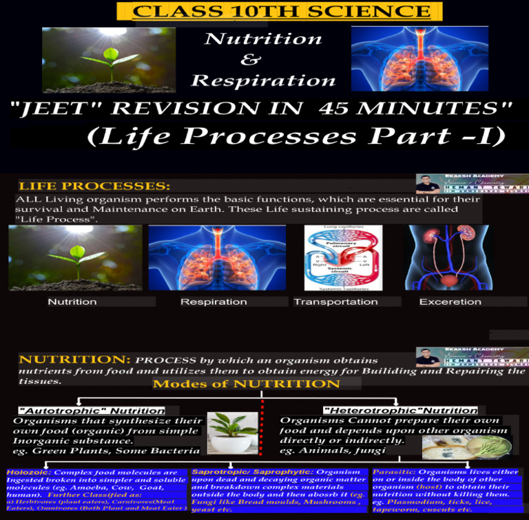 Life Process Part 1 Summary JEET | PDF