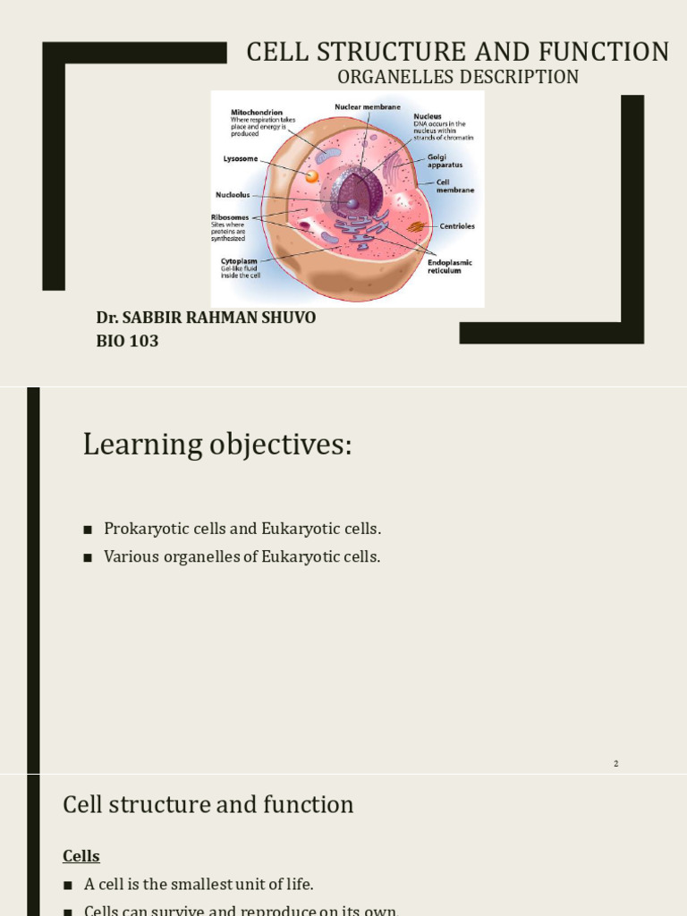 BIO+103+Lec+6+SRS1 | PDF | Cell (Biology) | Endoplasmic Reticulum
